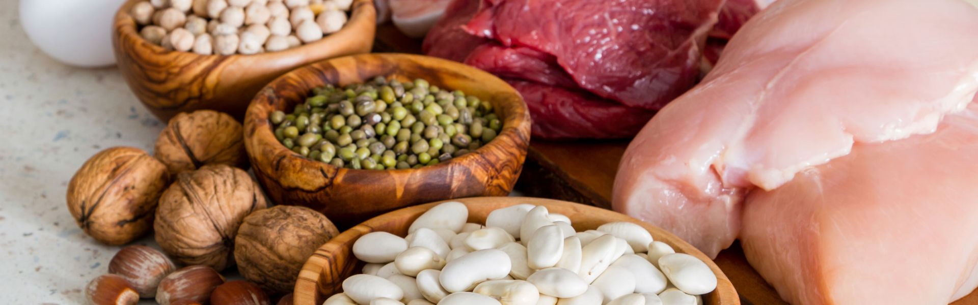 Les protéines : définition, rôle dans l'organisme, sources alimentaires ...