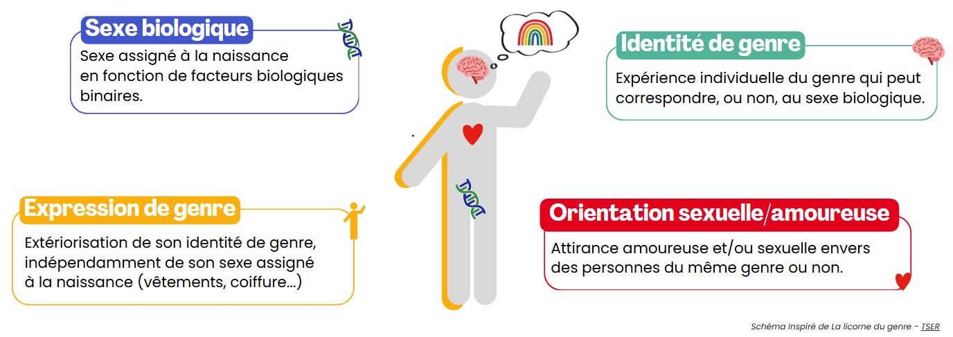 Santé Sexuelle : informer sur l'identité de genre et l'orientation sexuelle | Santé.fr