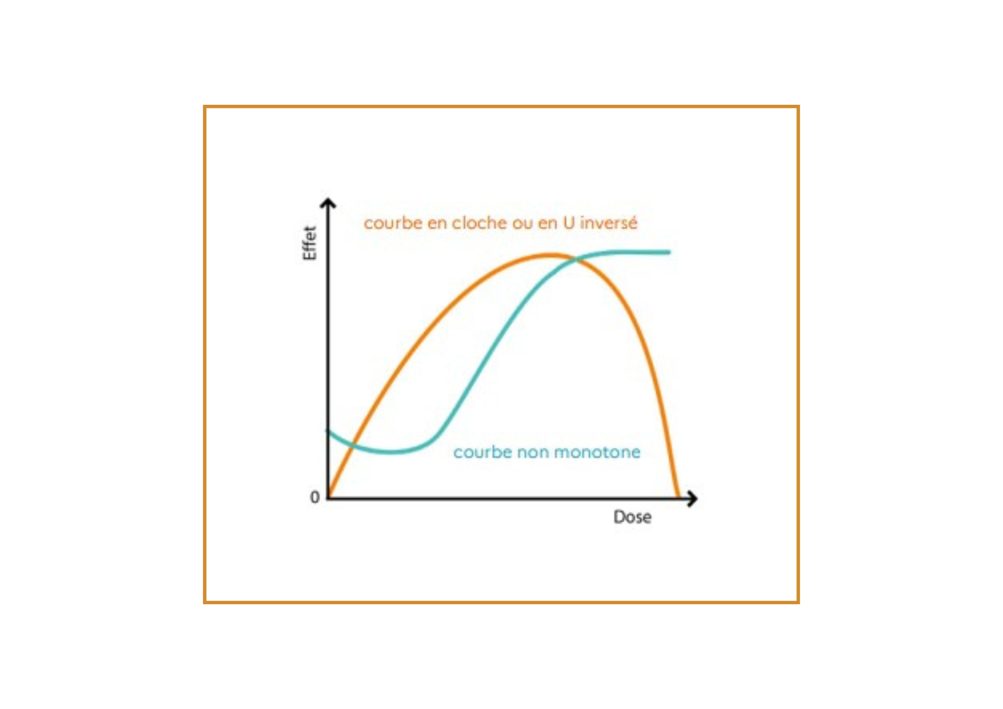 Mieux comprendre : les perturbateurs endocriniens | Santé.fr