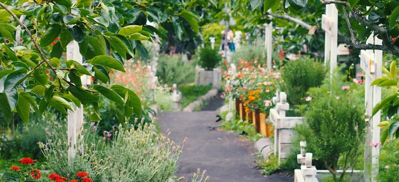 ­À quelle période de l’année y a-t-il le plus de pollen dans l’air ...